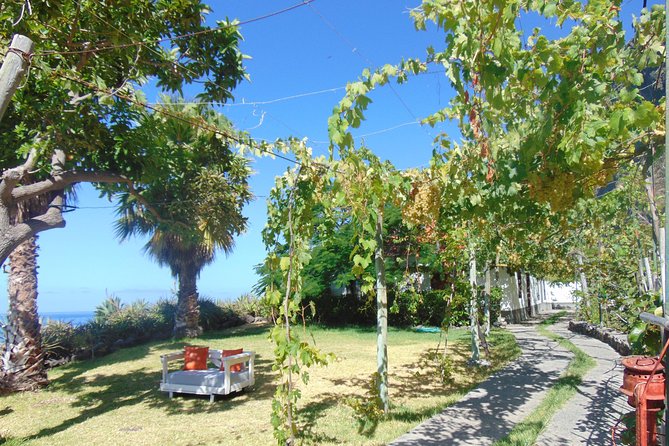 Incredible Tour to a Faja With a Story - Indulging in Organic Delights
