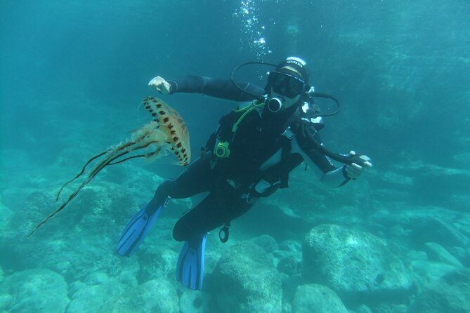 Intro Dive in Dubrovnik - Meeting and Pickup Details