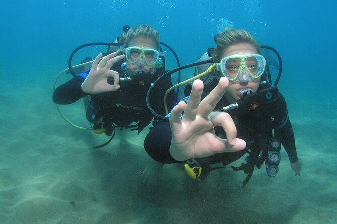 Intro/Refresher Dive Swim Ability Required - Booking, Pricing, and Value