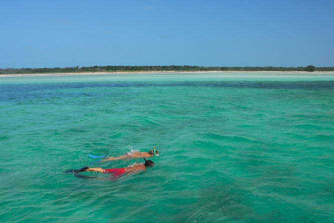 Island Adventure Eco Tour – Explore Key West’s Hidden Backcountry - FAQ