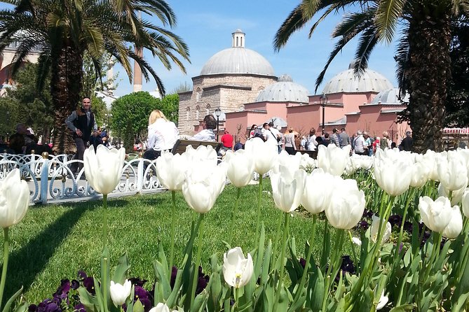 Istanbul Delights: A Journey Through Flavor and History - Unveiling the Citys Culinary Treasures