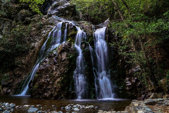 Jeep Safari to Troodos Mountains : Nature, Villages and Blue Wine - Encountering the Captivating Blue Wine