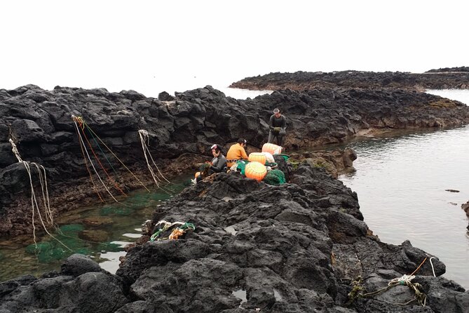 Jeju island Eastern UNESCO site Full Day Guided Tour - Final Thoughts: Is This Tour Right for You?