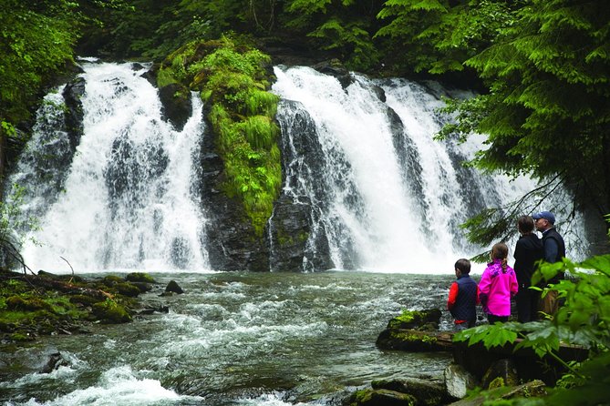 Juneau Whale Watching and Salmon Bake - The Salmon Bake: A Tasty Alaskan Tradition