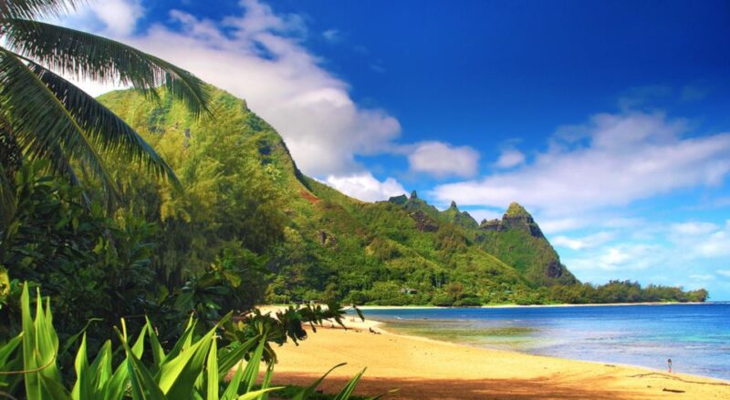 Kauai: Customized Luxury Private Tour - Final Thoughts
