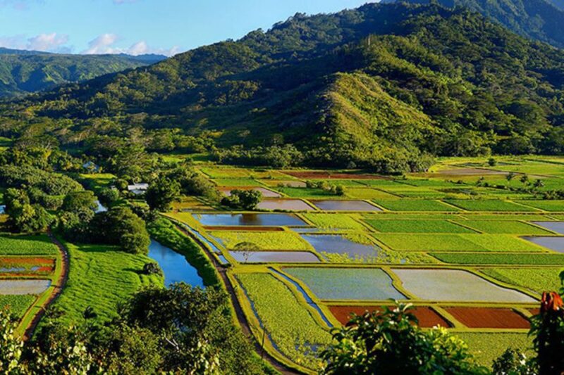 Kauai: Highlights & Movie Sites - Sacred Sites and Cultural Heritage