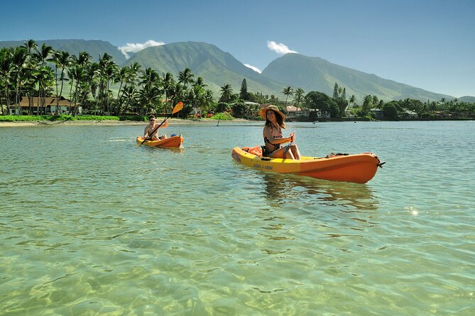 Kayak and Snorkel: Maui West Shore - Marine Life Encounters