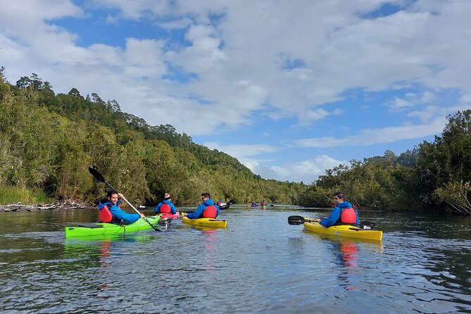 Kayak Maullín River - Highlights of the Maullín River