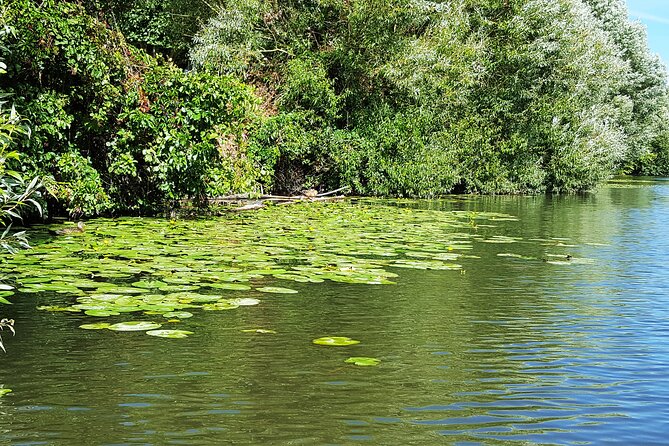 Kayak or SUP Tour on the Water Through Saarbrücken - Tour Capacity