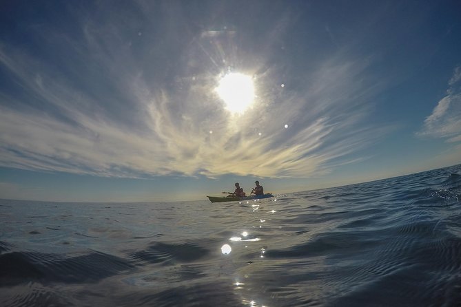 Kayak Tours in Pula to Blue Cave | Cold Beer/Water Included - Safety First: Guidelines and Health Requirements
