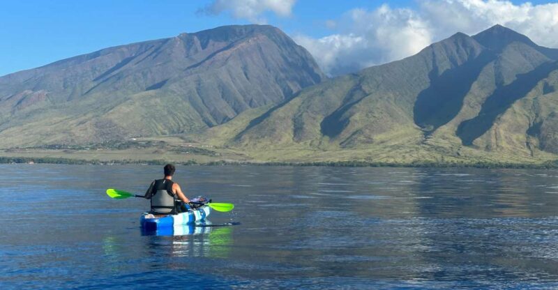 Kayak, Whale Watch And Snorkel At Turtle Town - Practical Tips for Your Trip