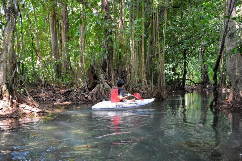 Kayaking and swiming klongrood - Final Thoughts: Who Should Consider This Tour?