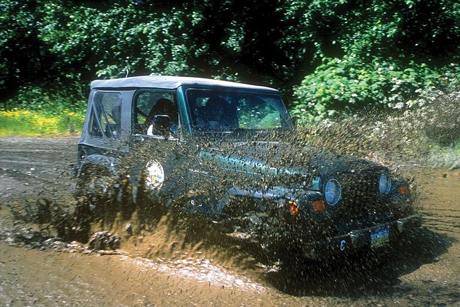 Ketchikan Jeep and Canoe Safari - Safety and Requirements