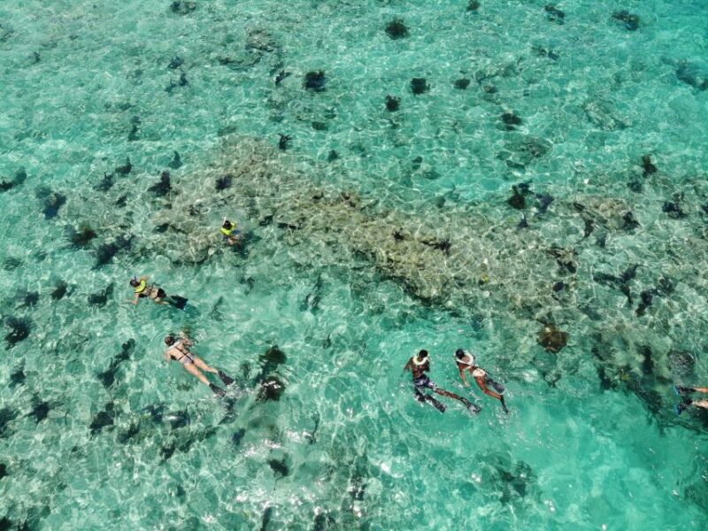 Key West: Dolphin Watching and Snorkeling Sunset Cruise - Practical Tips for Booking and Enjoying Your Trip