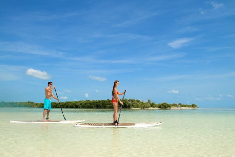Key West: Island Adventure Explore the Hidden Backcountry - Final Thoughts: Is It Worth It?
