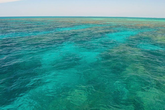 Key West Reef Snorkel & Sail Adventure - Who Should Consider This Tour?