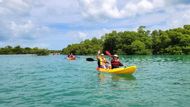 Key West: Sandbar Excursion & Kayak Tour with Lunch & Drinks - Final Thoughts