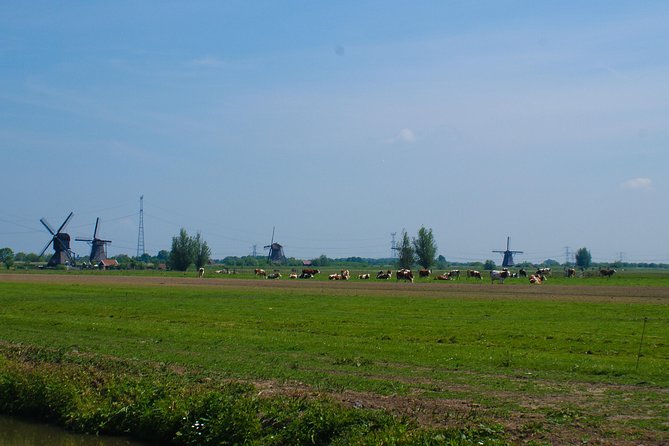 Kinderdijk Area Cycling Tour - Local Cheese Farm Experience