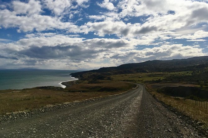 King Penguin Nature Reserve - Tierra Del Fuego Island - Guide and Customer Experience