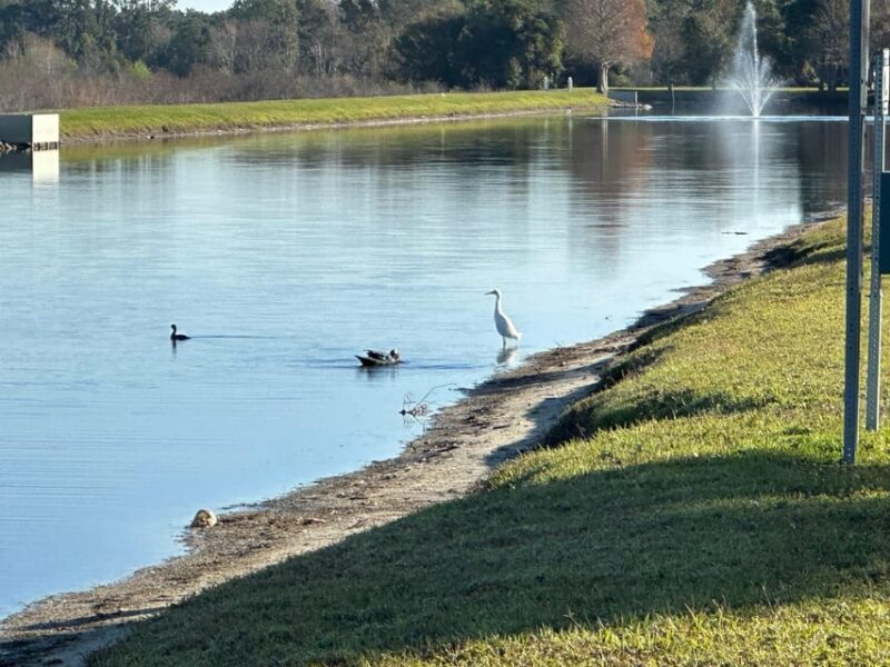 Kissimmee: Self-Guided Lakefront Tour on All Electric Bike - Breaking Down the Itinerary
