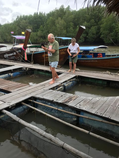 Koh Lanta: Amazon Mangrove Kayaking Tour With Lunch - Detailed Breakdown of the Itinerary