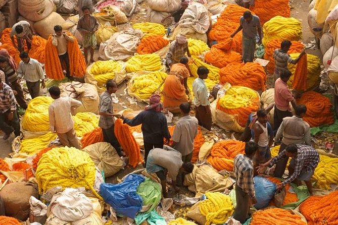 Kolkata - Sounds and Sights - Private Full Day City Tour - The Sum Up: Is This Tour for You?
