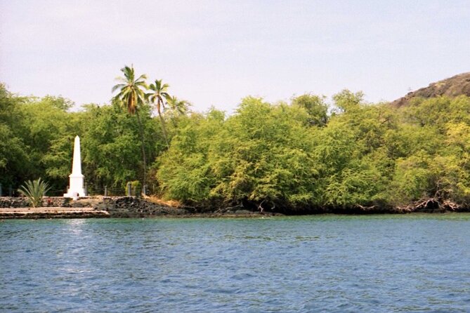 Kona Coast Cruise: Snorkel Kealakekua Bay & Dolphin Encounter - Review Highlights – Authentic Traveler Perspectives