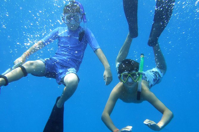 Kona Shore Excursion: Wild Dolphin Reefs Snorkel and Sea Caves - Snorkeling: What to Expect and How to Prepare