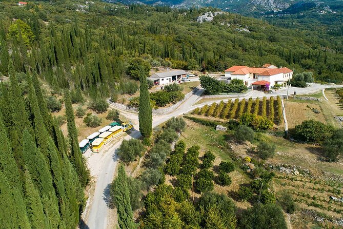 Konavle Wine Tasting Tour From Dubrovnik With 2 Vinerys - Wineries and Activities