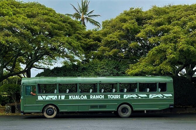 Kualoa Ranch: Movie Sites and Ranch Tour - Final Thoughts: Is It Worth It?