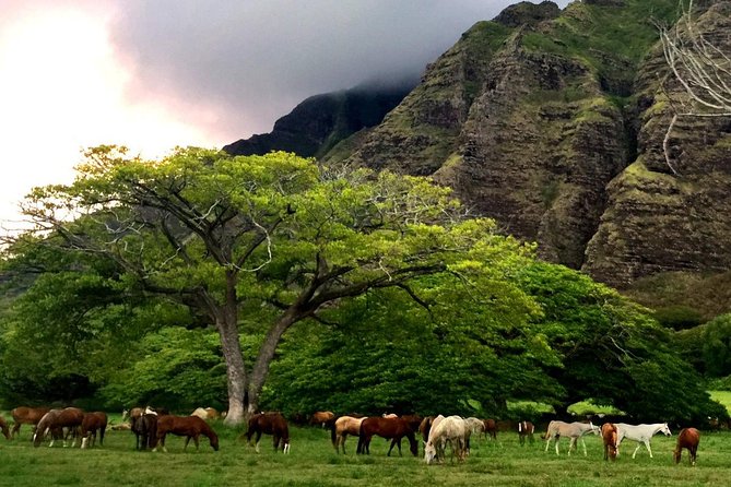 Kualoa Ranch: Novice E-Bike - E-Bike Experience