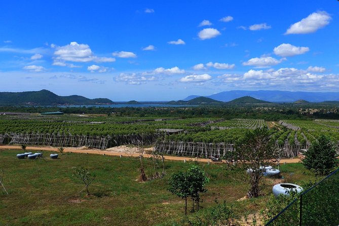 La Plantation tour (discovering Kampot Pepper) + Lunch - Who Will Love This Tour?