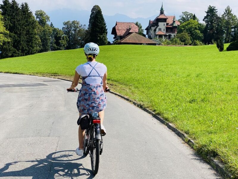 Lake Lucerne Peninsula E-Bike Tour - Equipment and Requirements