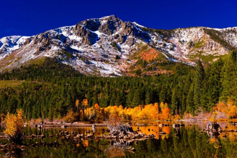 Lake Tahoe: Half-Day Photographic Scenic Tour - Who Will Love This Tour?