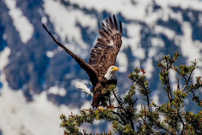 Lake Tahoe Small-Group Photography Scenic Half-Day Tour - The Bottom Line: Who Will Love This Tour?