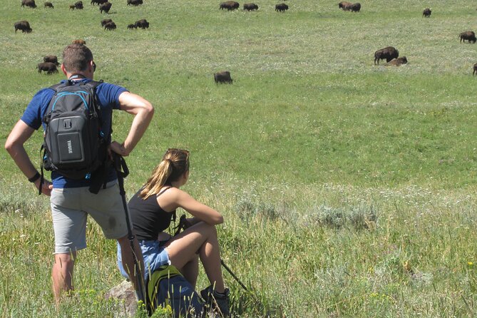 Lamar Valley Safari Hiking Tour With Lunch - Guided Hike for a Small-Group Experience
