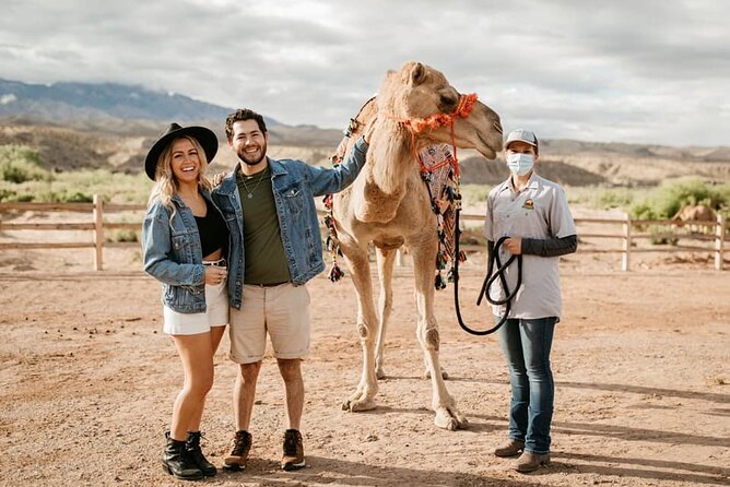 Las Vegas Safari Tram Ride and Zoo Tour at Camel Safari - Final Thoughts on Value and Experience