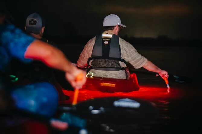 LED Bio Comb Jelly Clear Bottom Kayak or Paddleboard Tour! - Why This Tour Is Worth Considering