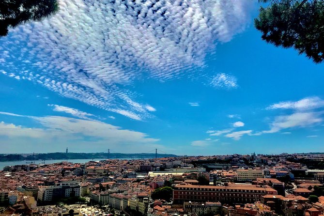 Lisbon by Night up to 6 People, Private Tour - Transportation and Accessibility