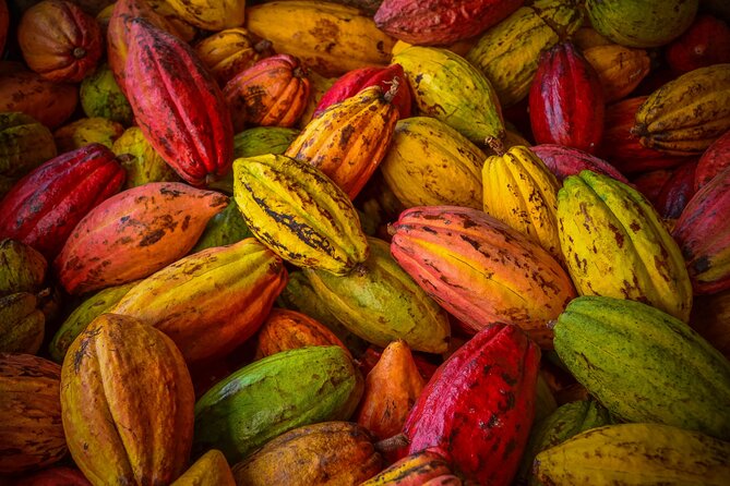 Local Swiss Chocolate Tasting - Exploring the History and Craft of Swiss Chocolates
