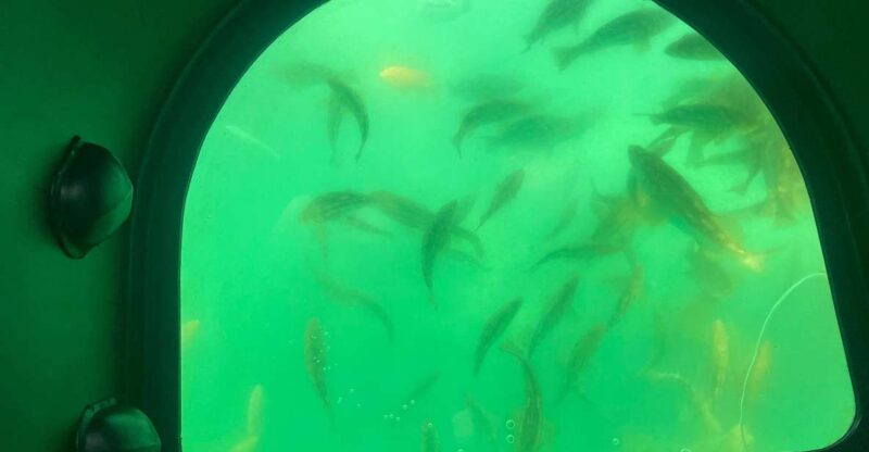 Long Beach: Glass Bottom Boat Harbor Ecotour - The Sum Up
