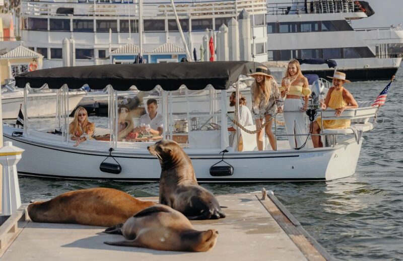 Los Angeles: Luxury Cruise with Wine, Cheese & Sea Lions - The Experience & the Reviews