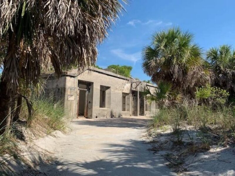 Madeira Beach: Egmont Key Snorkeling and Dolphin Cruise - The Sum Up