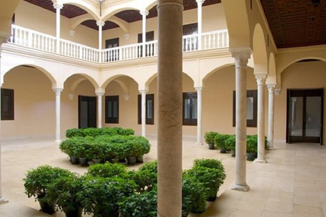 Málaga Picasso Museum Private Guided Tour - Insights Into Picassos Life and Artistic Journey