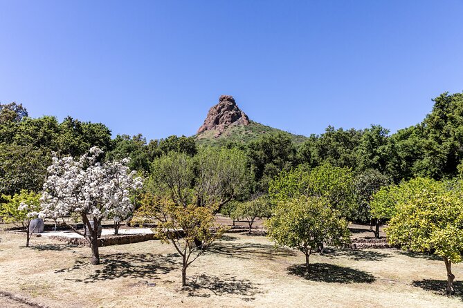 Malibu: Guided Vineyard Hike with Photo Stops and Wine - Final Thoughts