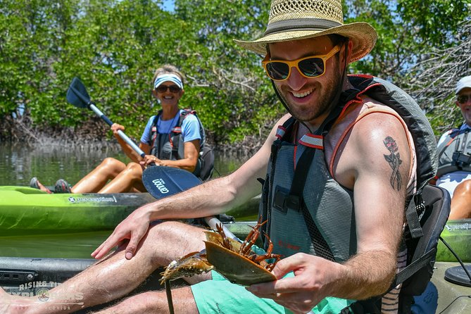 Mangrove Tunnels & Mudflats Kayak Tour - Local Biologist Guides - Authentic Experiences & Customer Feedback