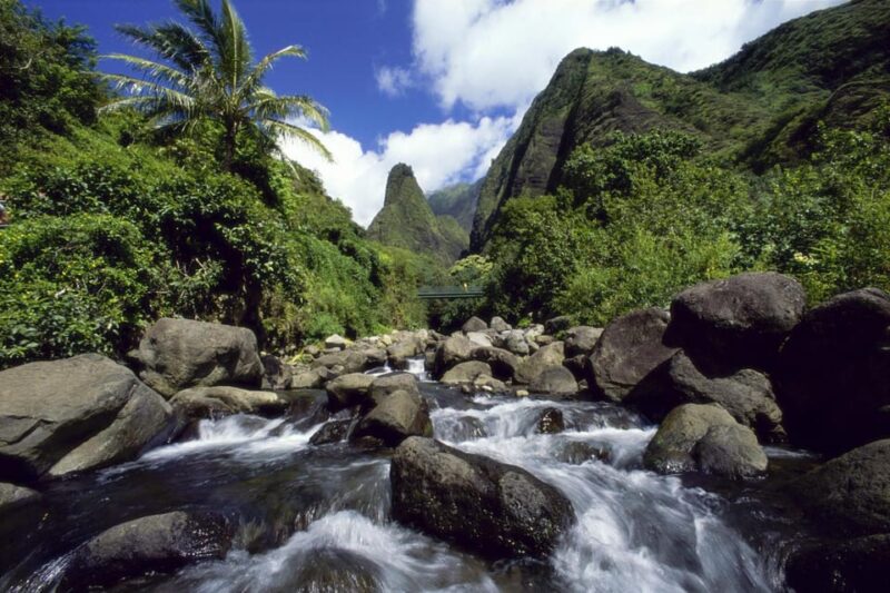 Maui: Custom Elite Tour with Escalade & Meals - Food and Snacks: A Delicious Local Touch