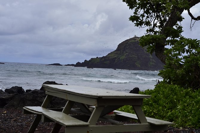 Maui Shore Excursion : Road to Hana Day Trip P/up Kaanapali - Transportation and Group Size