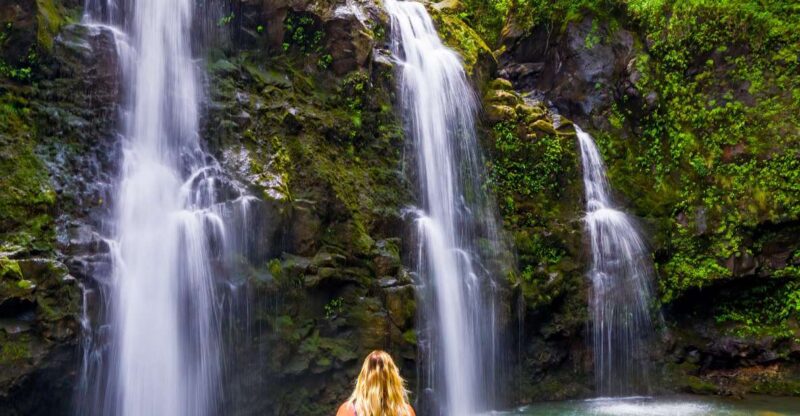Maui Tropical Rainforest Eco Tour with Lunch - What Makes This Tour Truly Valuable