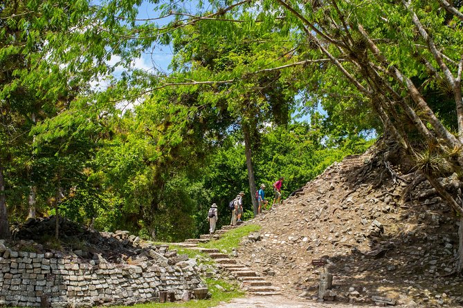 Mayan Ruins of Copan Day Trip From San Pedro Sula - Culinary Delights and Local Flavors